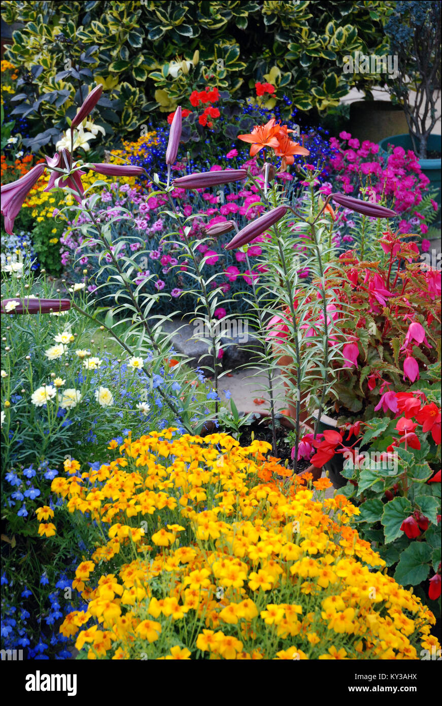Matti's Flower Garden Stock Photo - Alamy