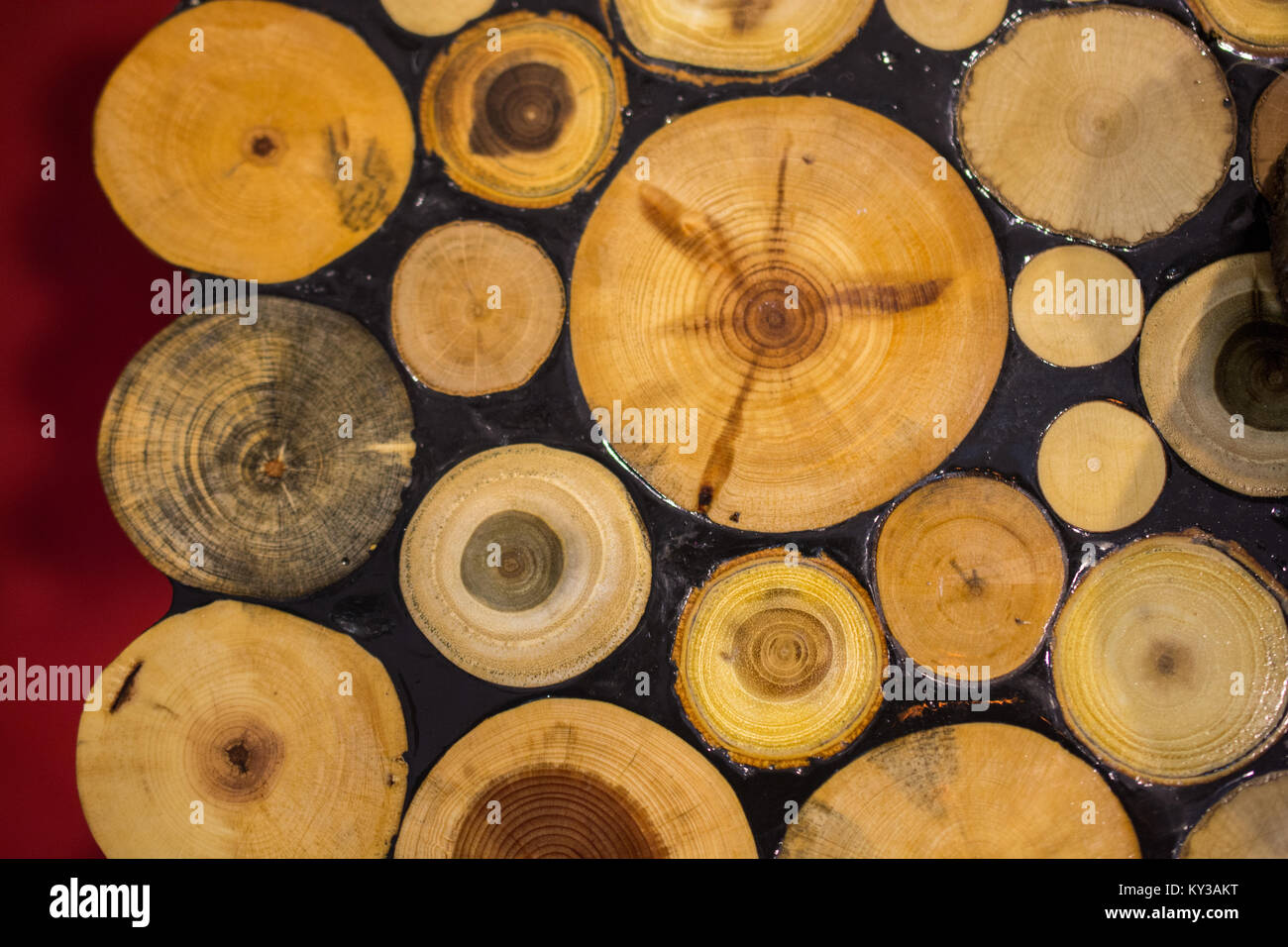 Wood Log cut in round thin pieces in view Stock Photo - Alamy