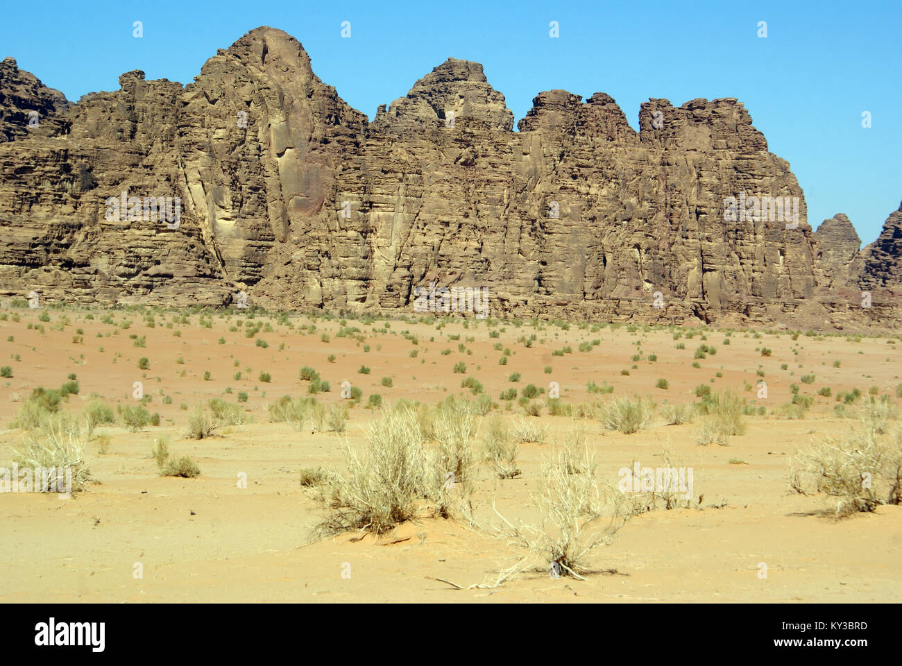 Mountain range and bush in desert Wadi Rum, Jordan Stock Photo - Alamy