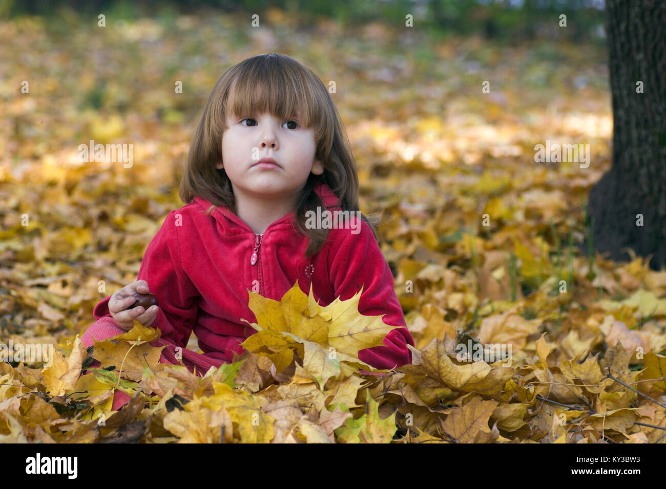 Kid in sitting the maple leaves looking away with sad face Stock Photo ...