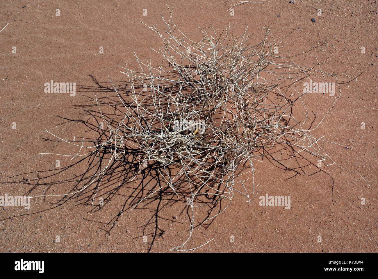 Climate res hi-res stock photography and images - Alamy