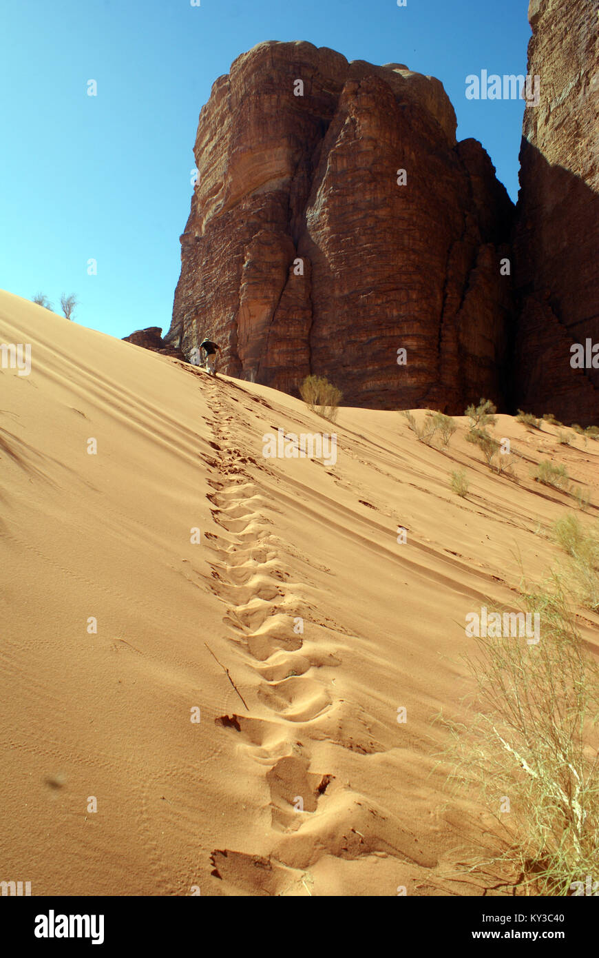 Way up to the top of barhan in Wadi Rum, Jordan Stock Photo - Alamy