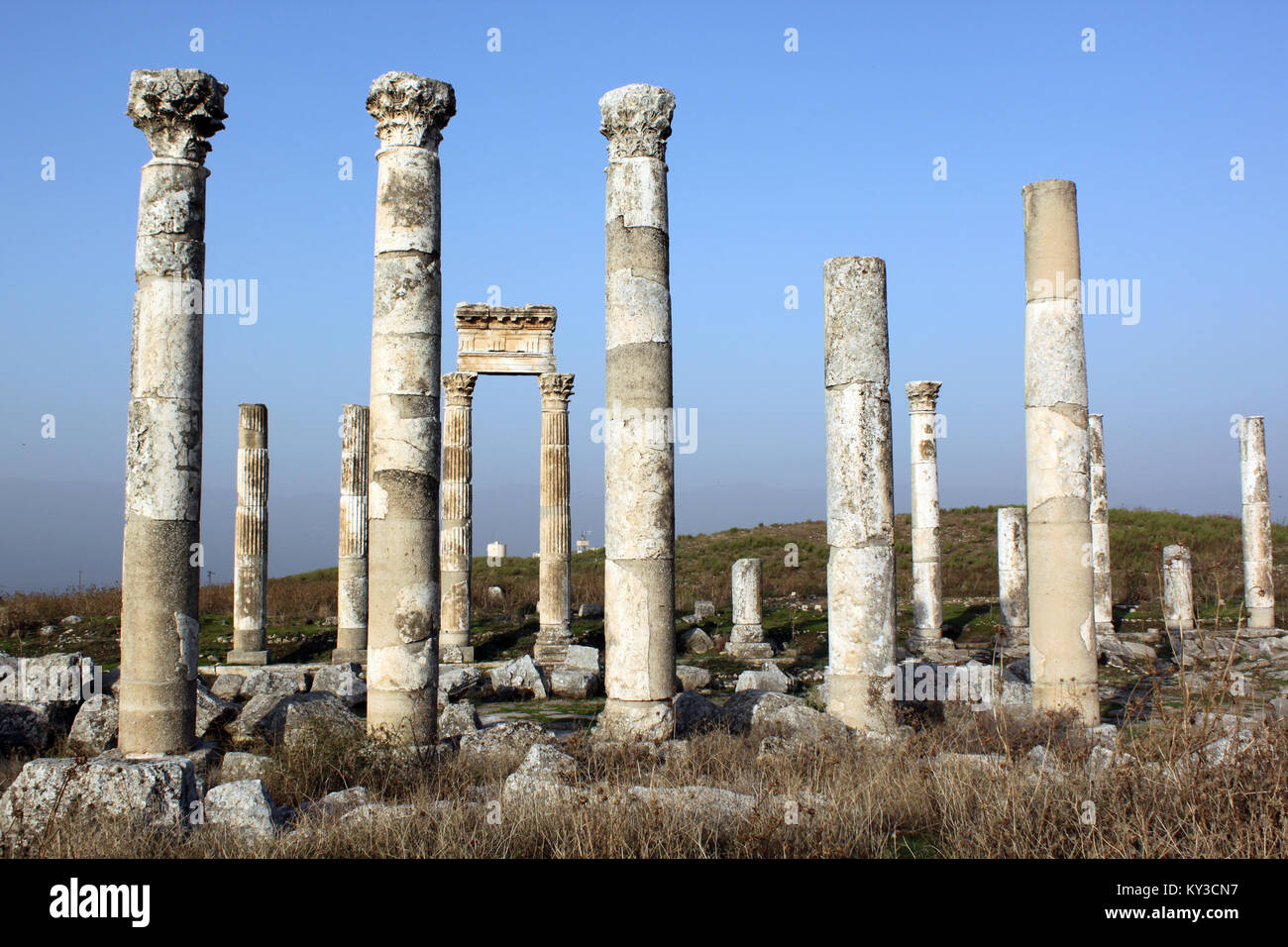 Marble columns in ancient city Apamea, Syria Stock Photo - Alamy