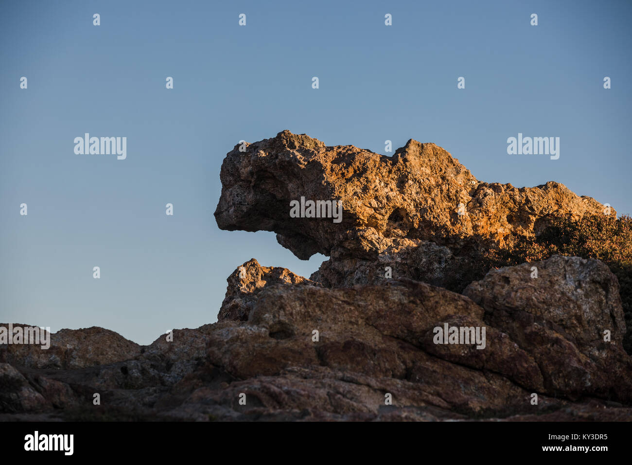 Pintura de salvador dali hi-res stock photography and images - Alamy