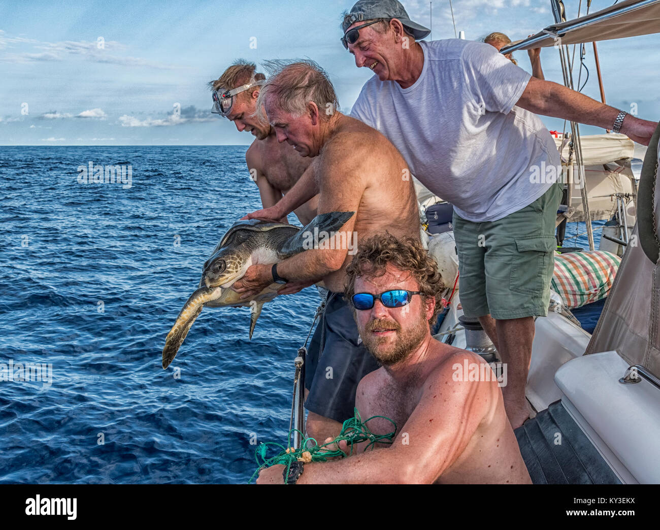A Loggerhead Turtle Trapped in a Plastic Fishing Net in the Atlantic ...
