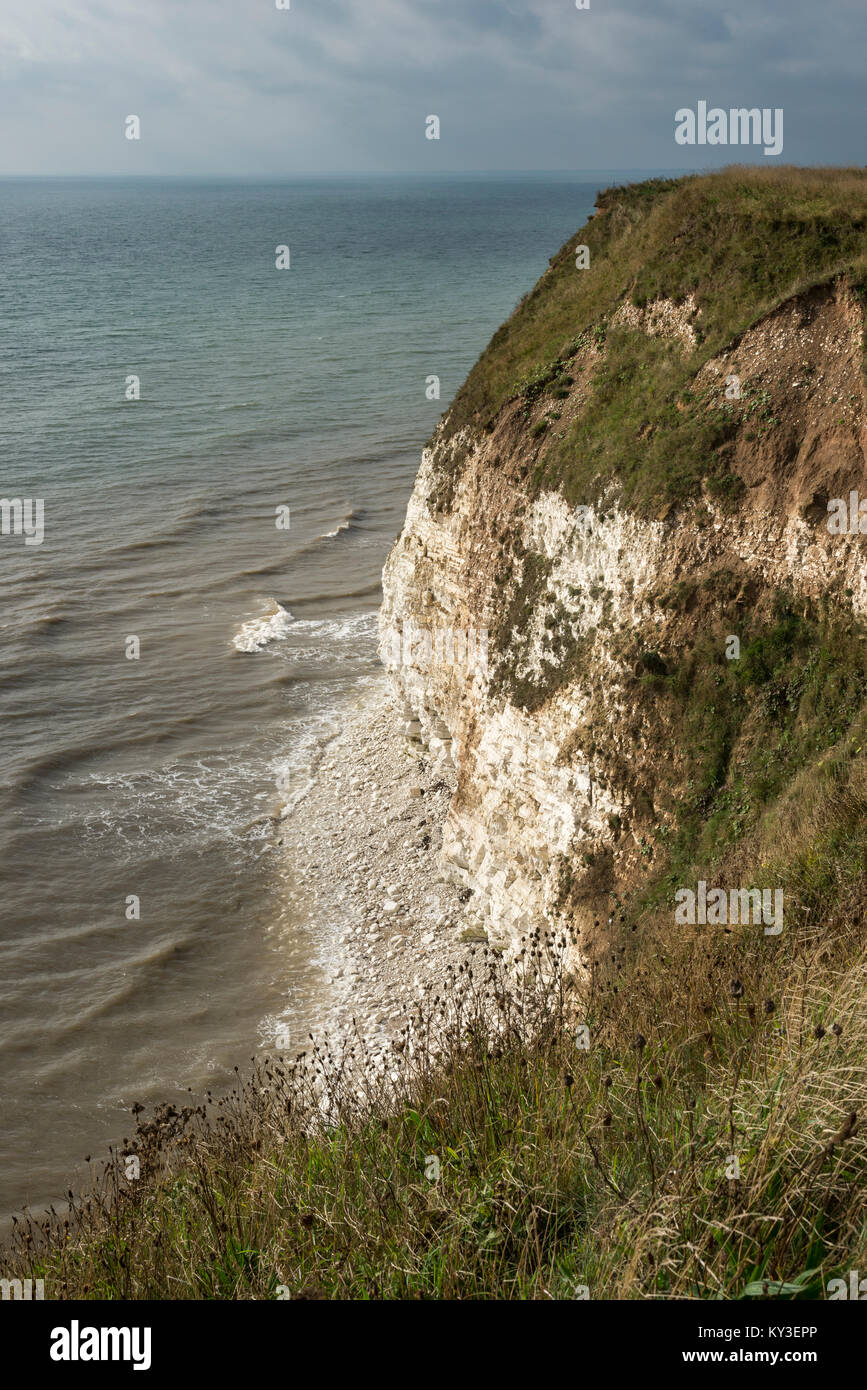 High chalk cliffs at Flamborough Head, North Yorkshire, England Stock ...