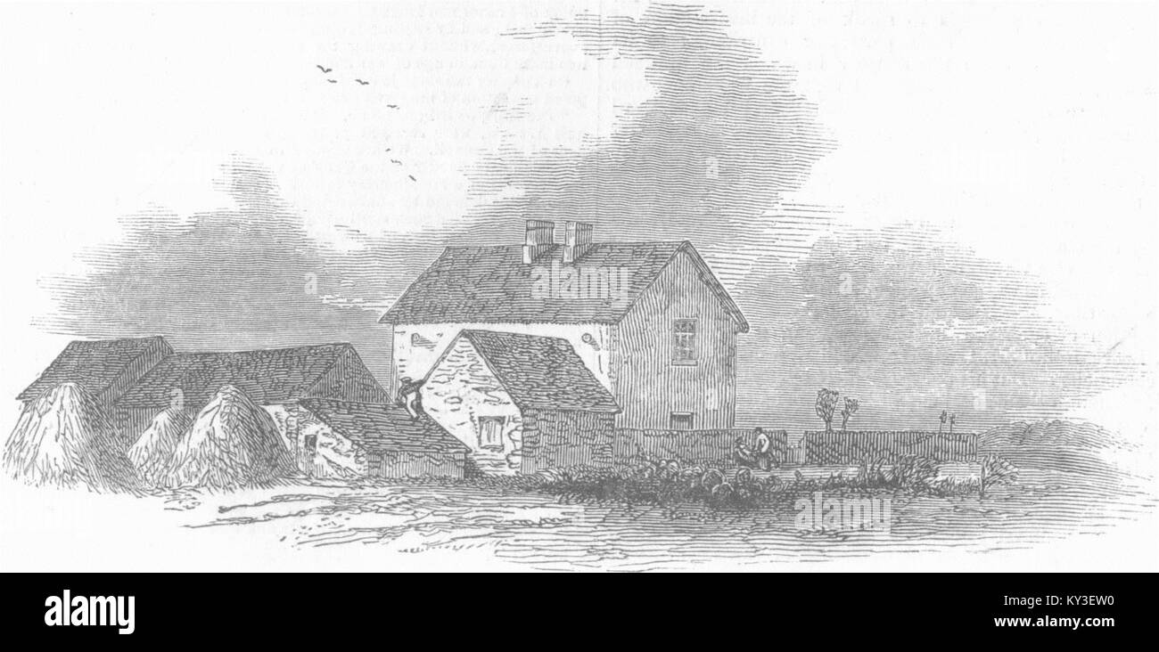 IRELAND Back of the House 1848. Illustrated London News Stock Photo - Alamy