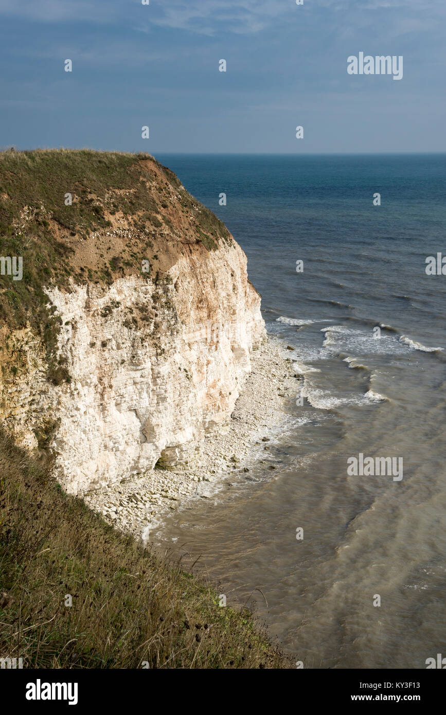 High chalk cliffs at Flamborough Head, North Yorkshire, England Stock ...