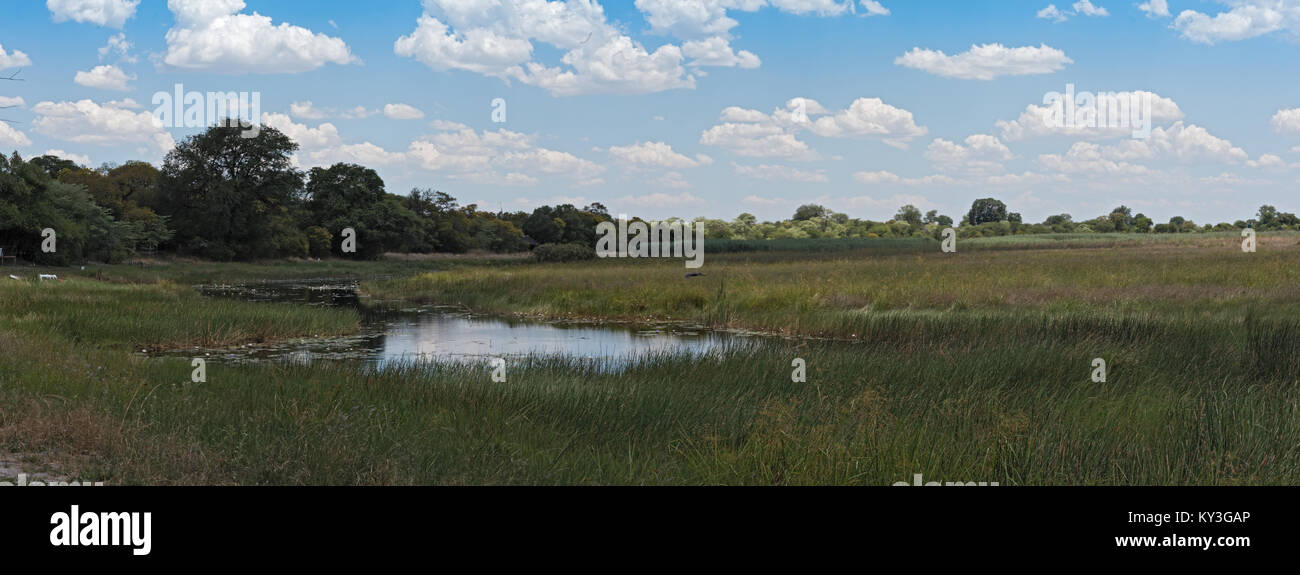 Linyanti Swamp on the border of Botswana, Namibia Stock Photo - Alamy