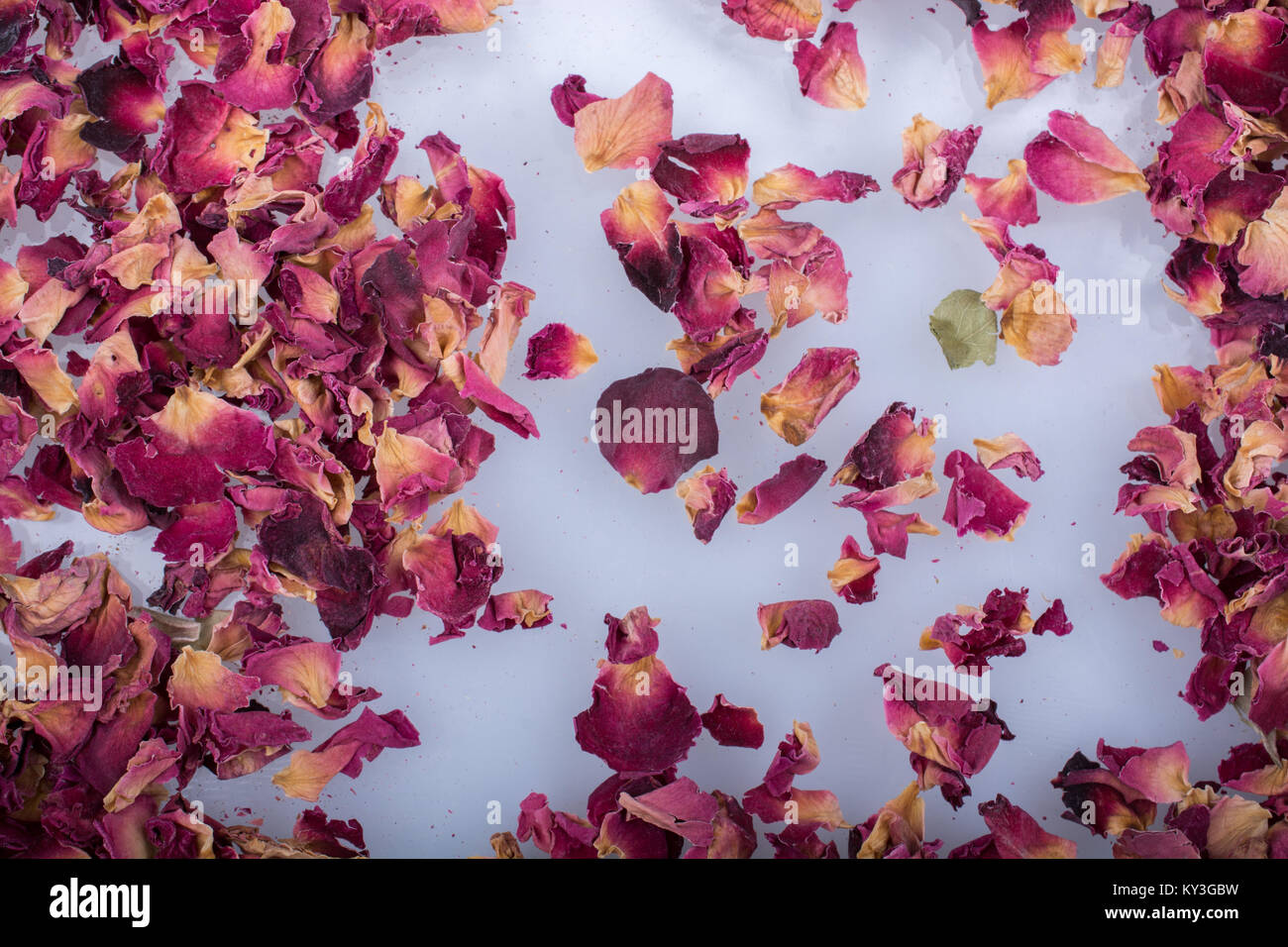 Background of dried rose petals as herbal tea Stock Photo - Alamy