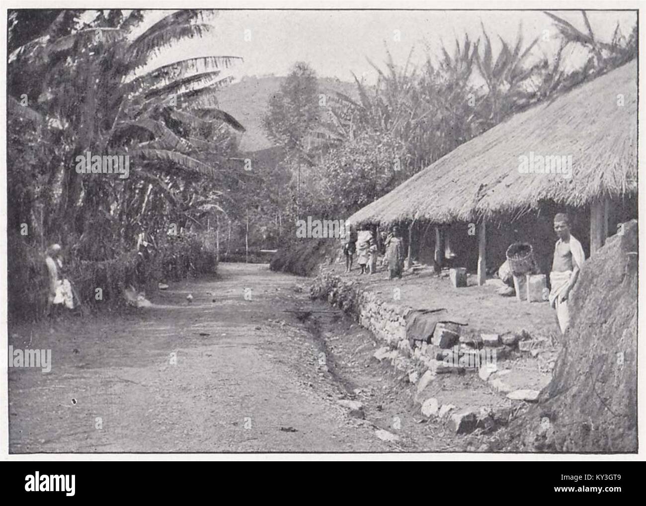 Radella hi-res stock photography and images - Alamy