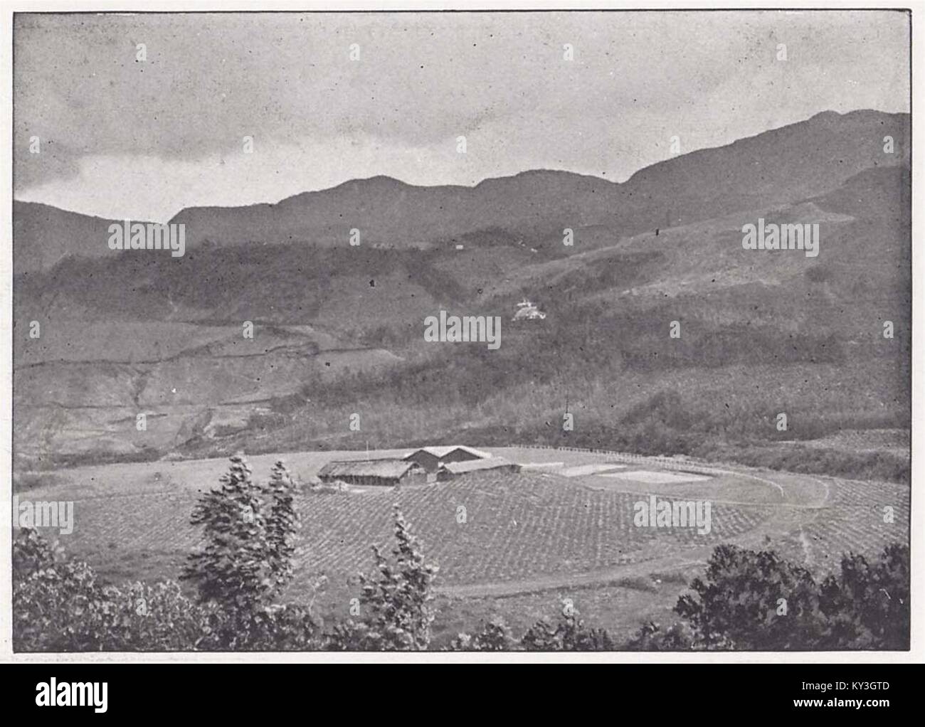 Radella hi-res stock photography and images - Alamy