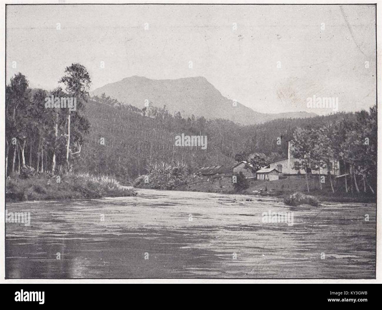 Logie Estate, Lindula Stock Photo - Alamy