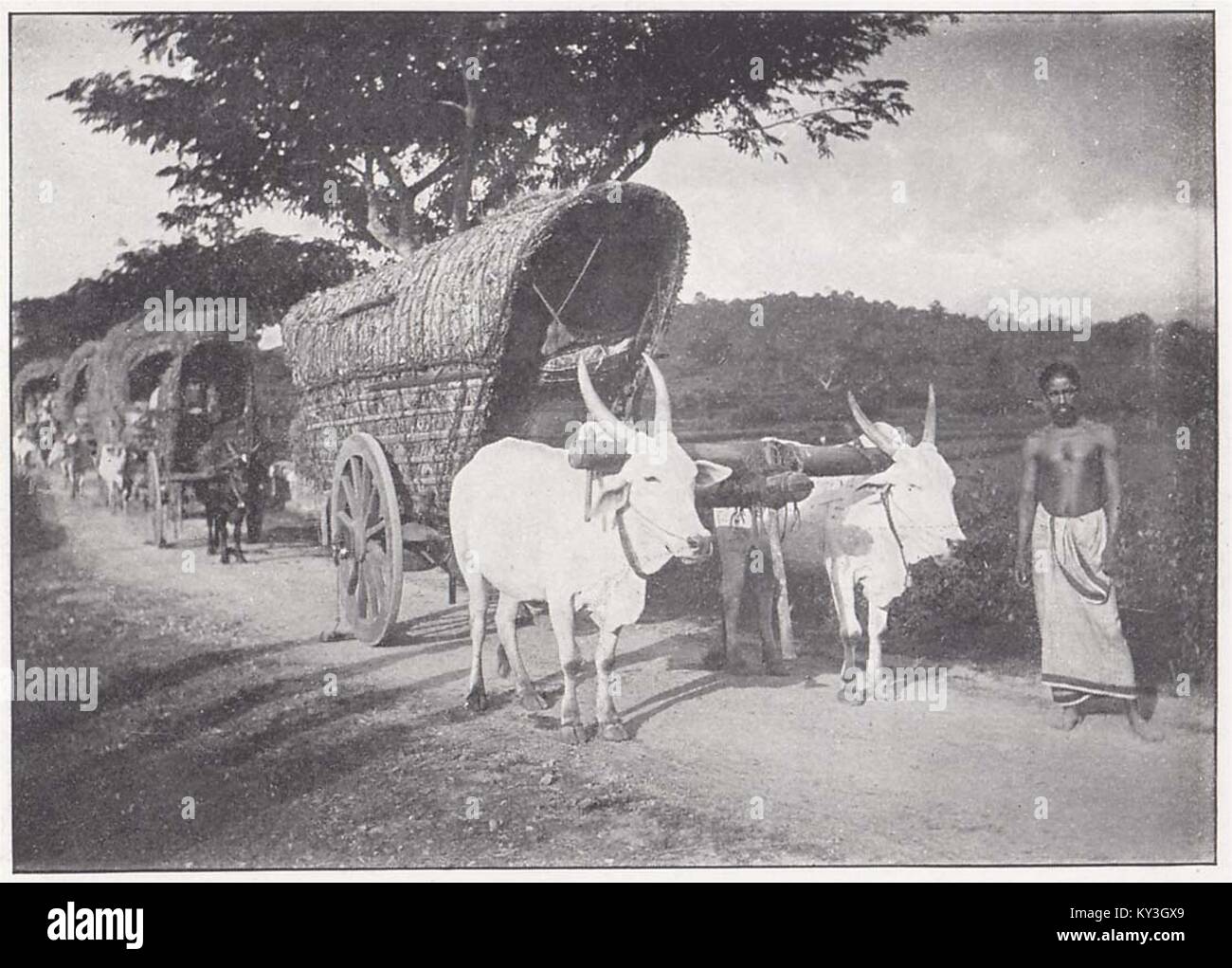 Carting produce to Mátalé railway station Stock Photo - Alamy