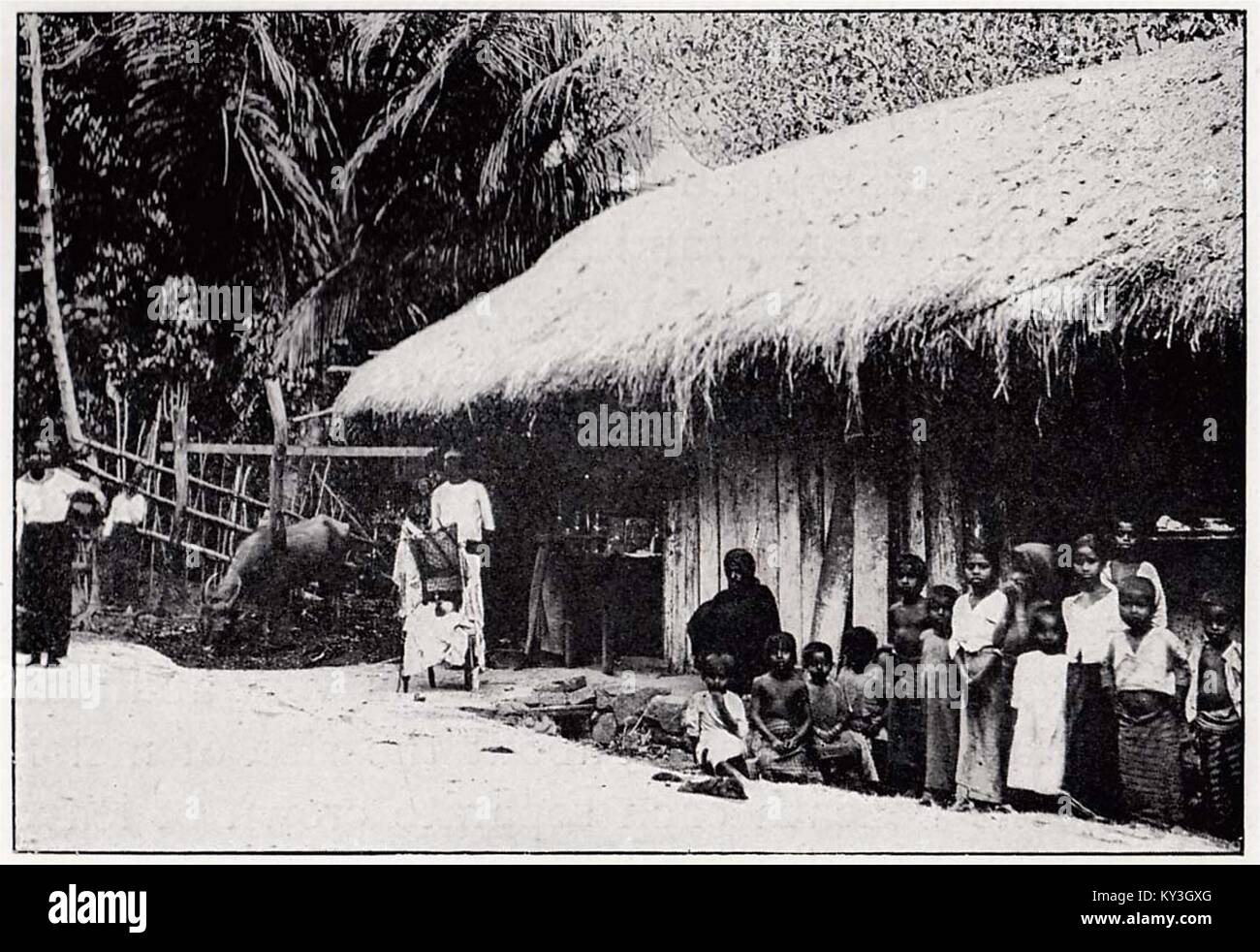 Native Hut in Peradeniya Stock Photo - Alamy
