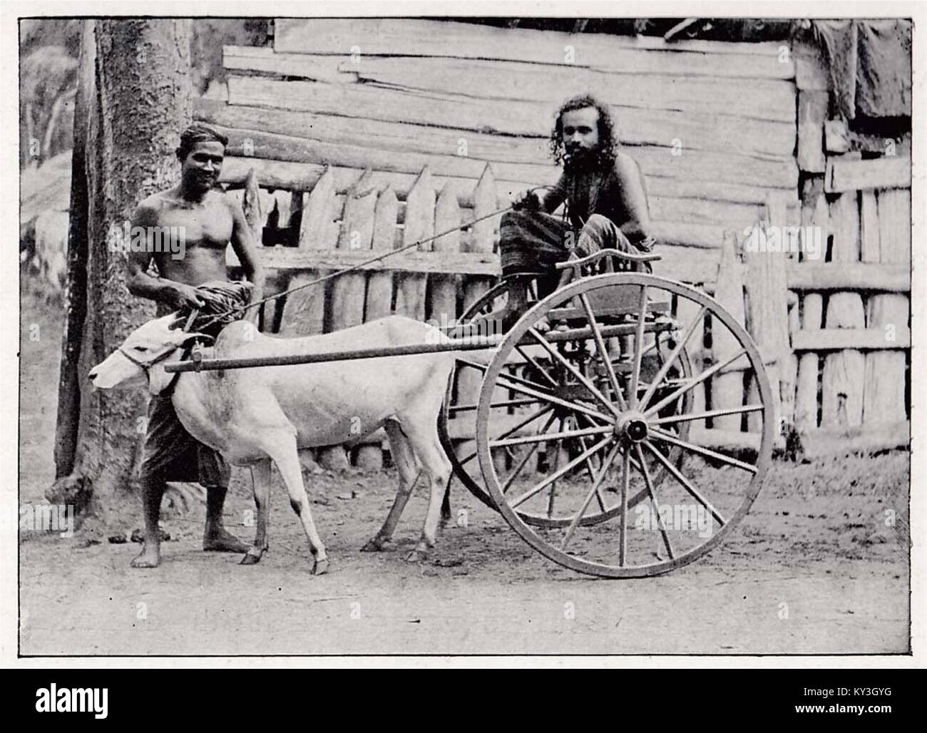 Hackery hi-res stock photography and images - Alamy