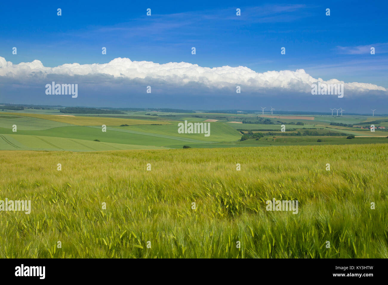 Bocage landscape hi-res stock photography and images - Alamy