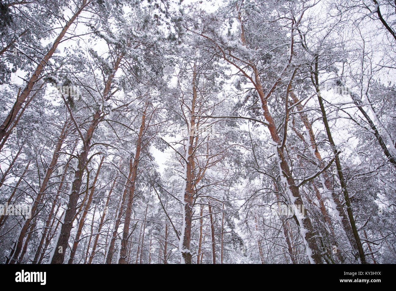 Snow on the bottom hi-res stock photography and images - Alamy