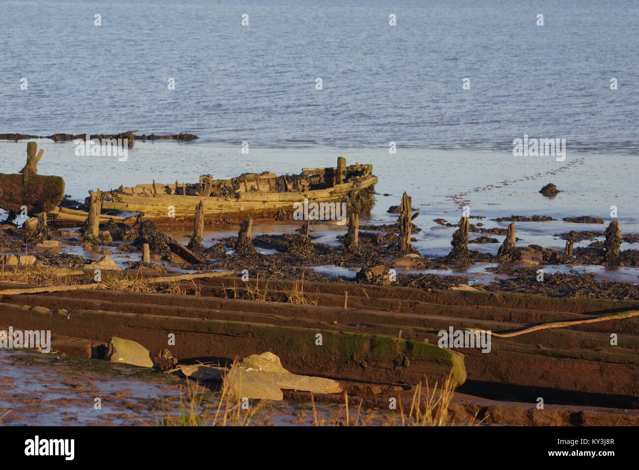 Rotting Wooden Dinghy Rowing Boat in the Mud of the Exe Estuary, Turf ...