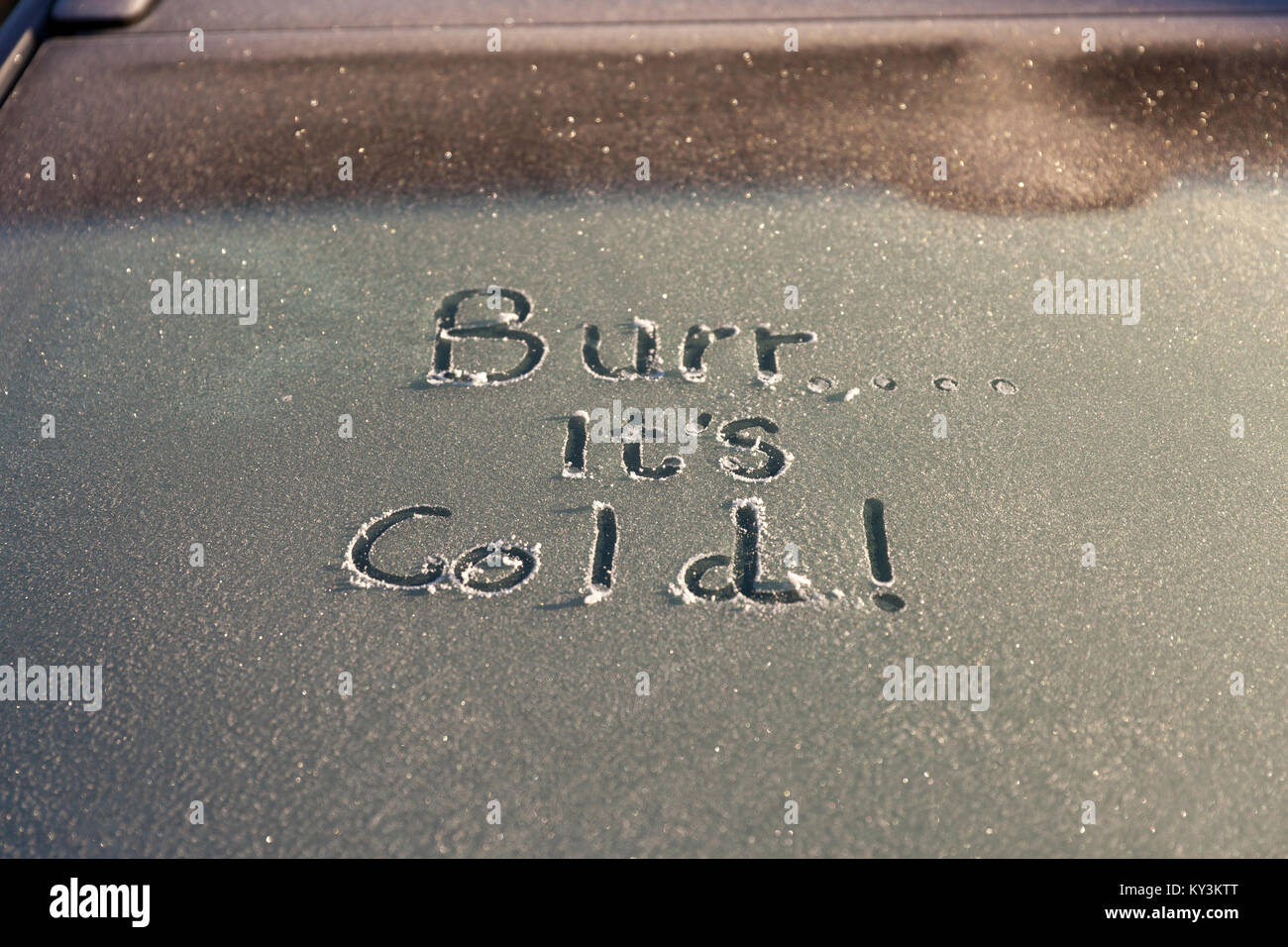 UK:Weather Rosgoill Park, Belfast Northern Ireland 10th January 2018 ...