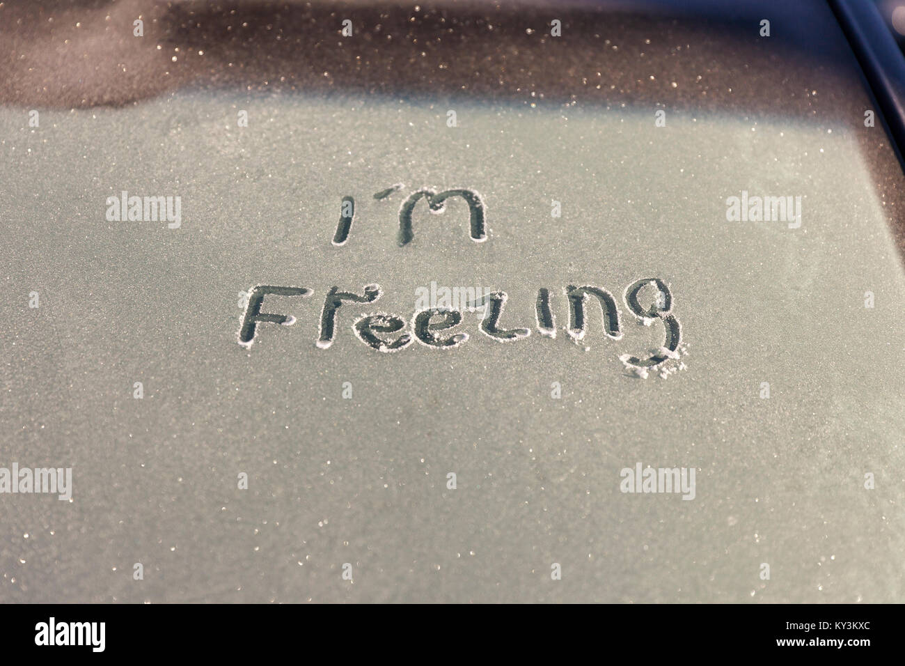 Rosgoill park hi-res stock photography and images - Alamy