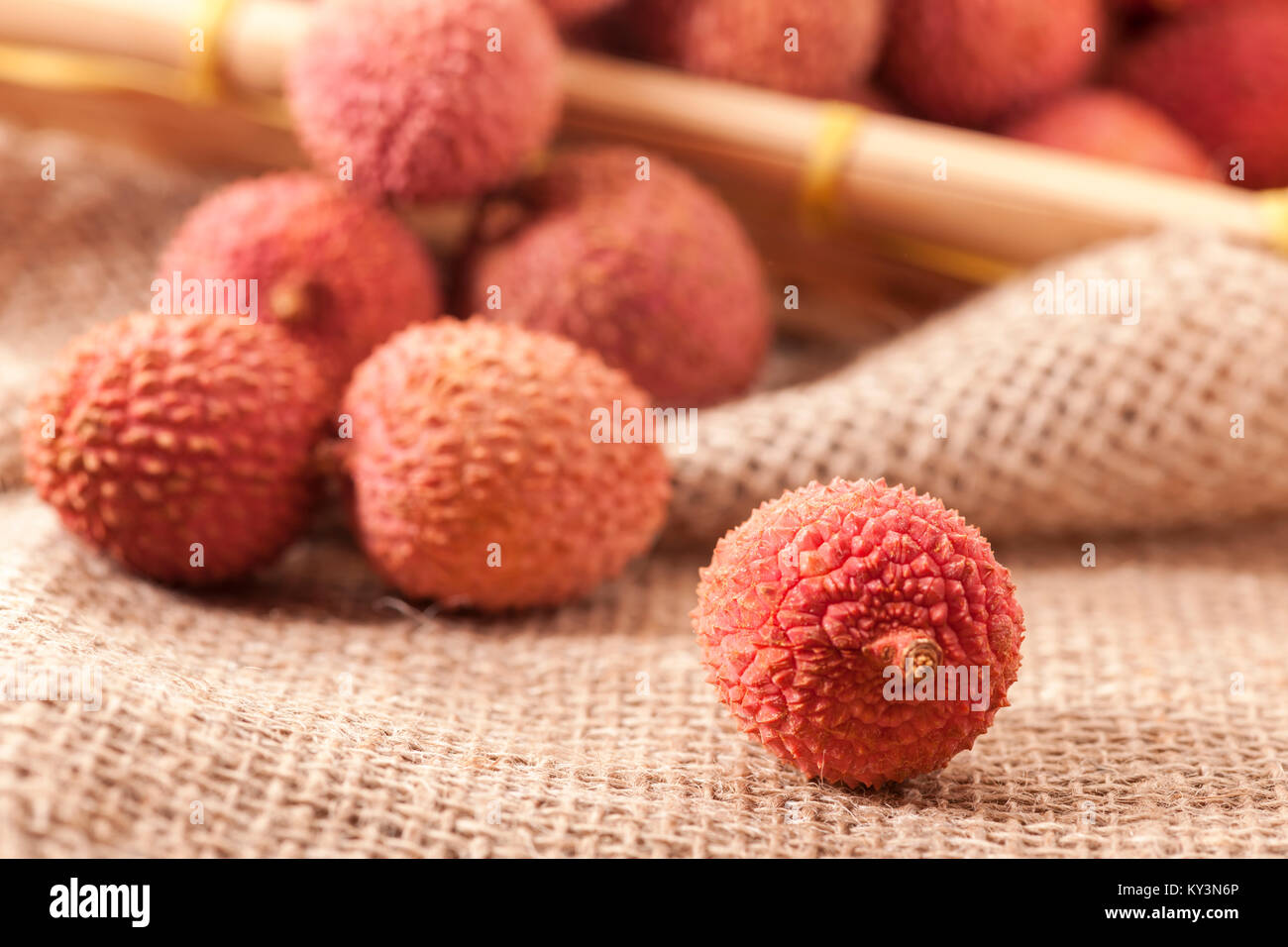 Studio shot with fruits (Lichi) of the lychee tree (Litchi chinensis ...
