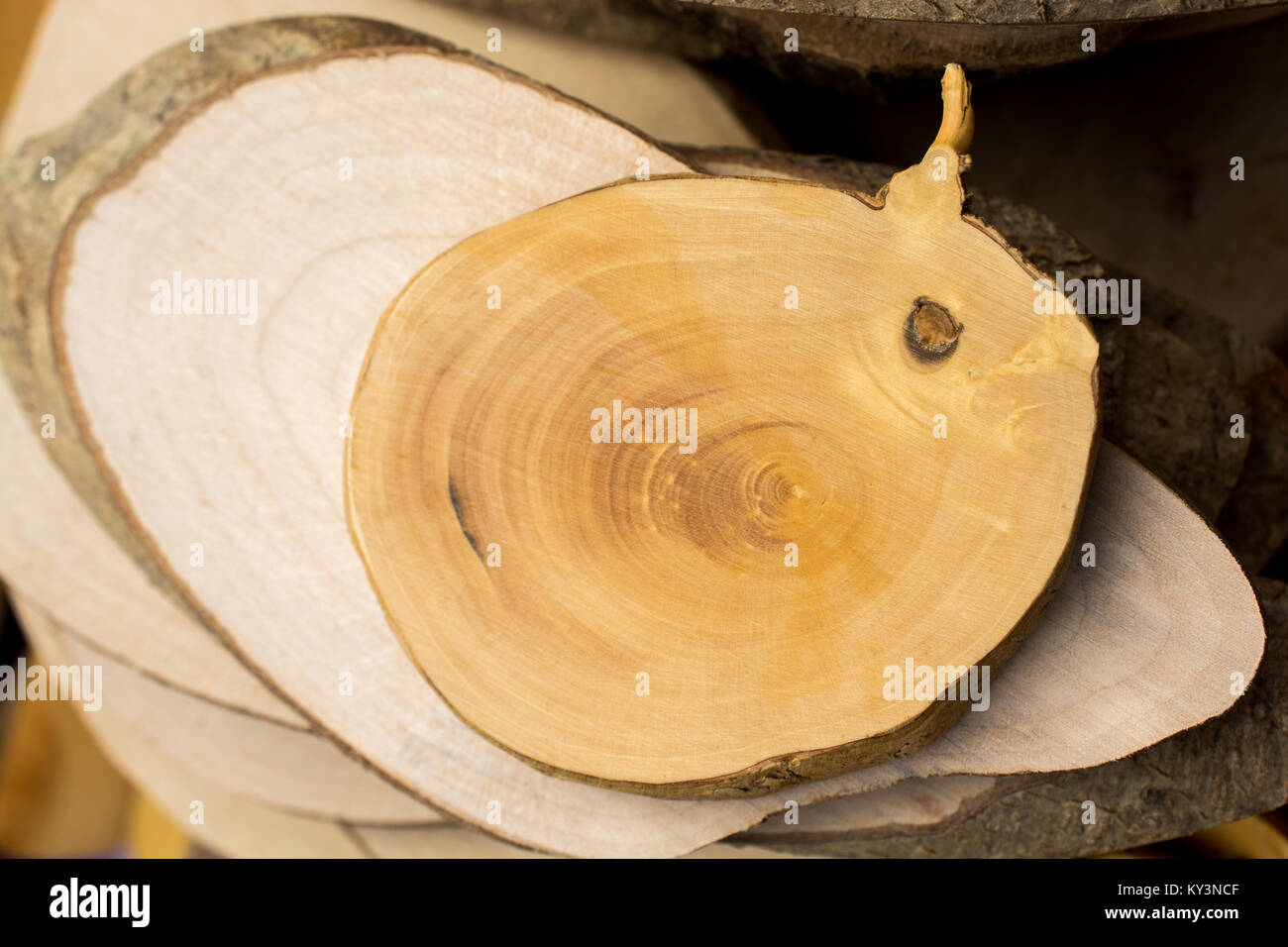 Wood Log cut in round thin pieces in view Stock Photo - Alamy