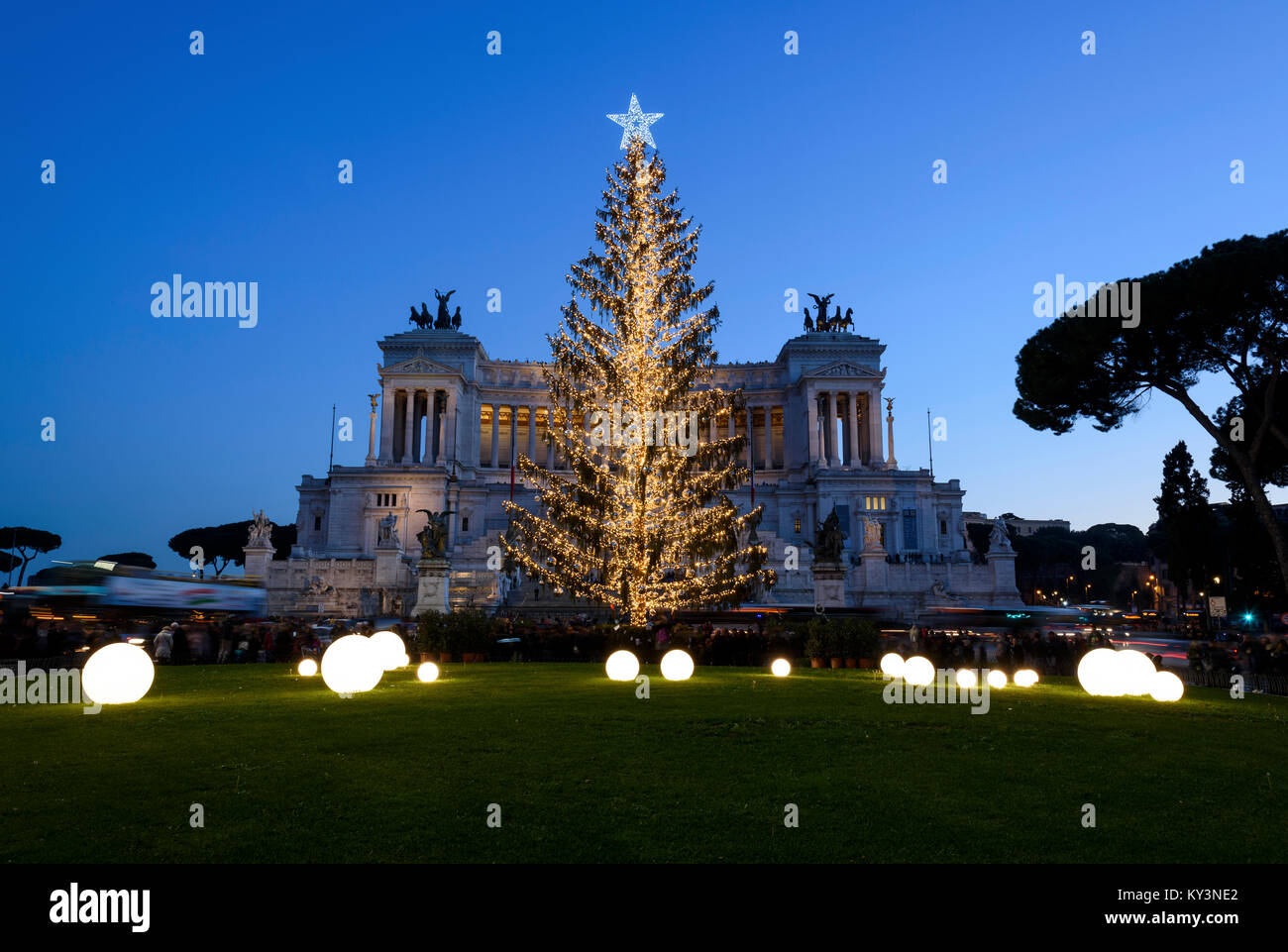 The Christmas Tree of Rome 2017 called Spelacchio, in a Night view of ...