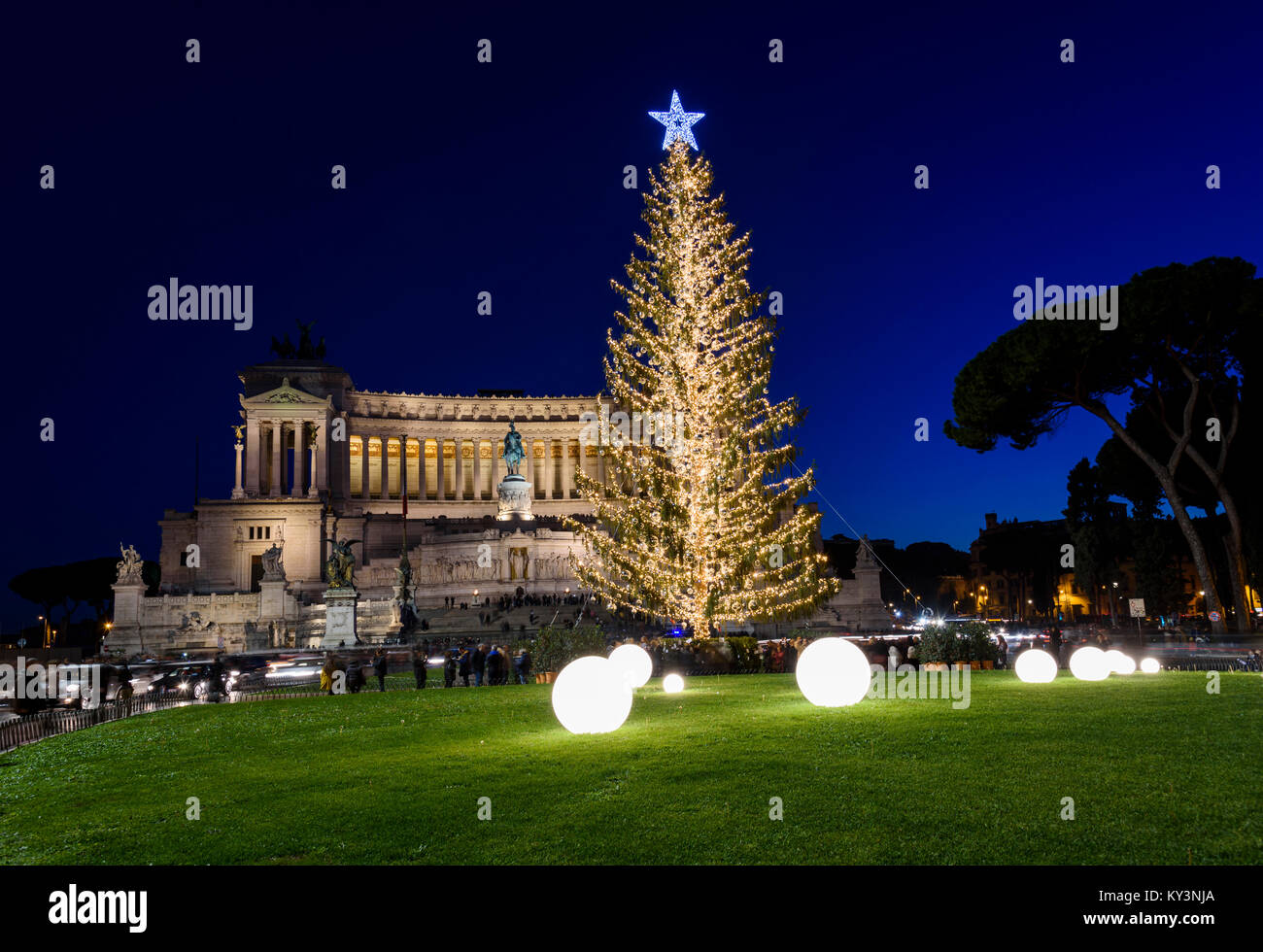 The Christmas Tree of Rome 2017 called Spelacchio, in a Night view of ...