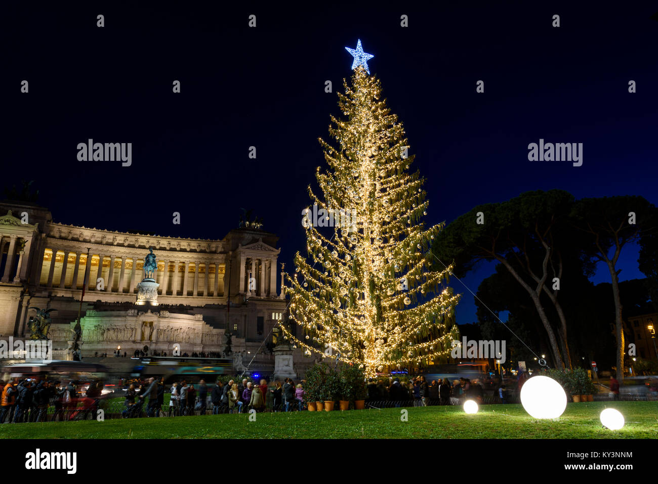 The Christmas Tree of Rome 2017 called Spelacchio, in a Night view of ...