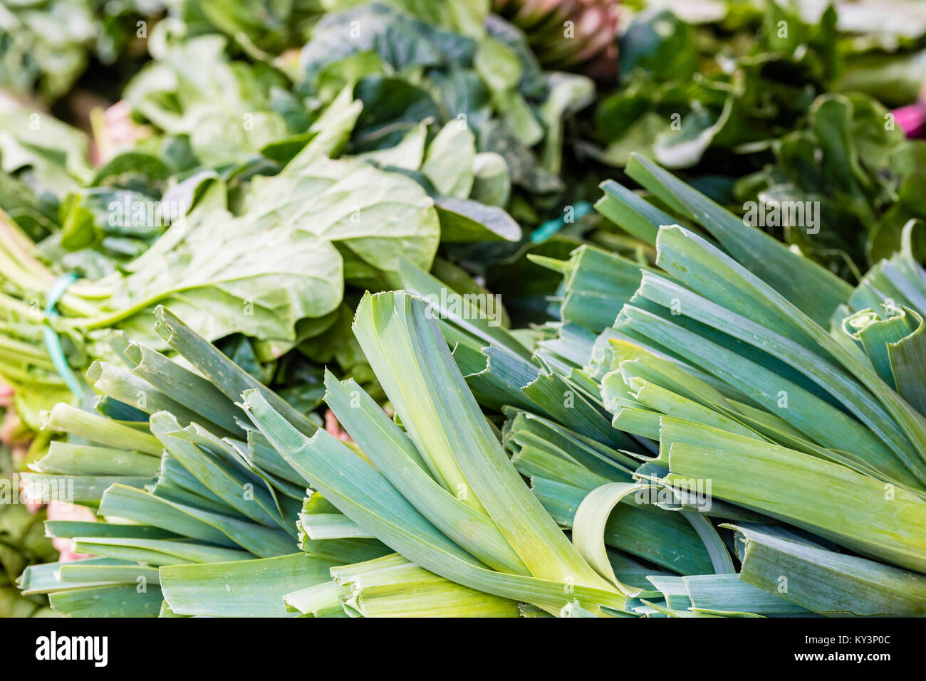 Fresh green vegetables, closeup. Organic leeks, and Asian greens box ...
