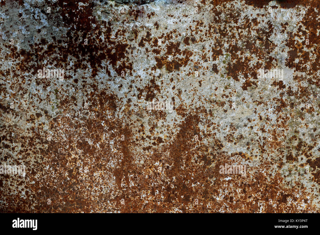 Multicolored background: rusty metal surface and damaged metal ...