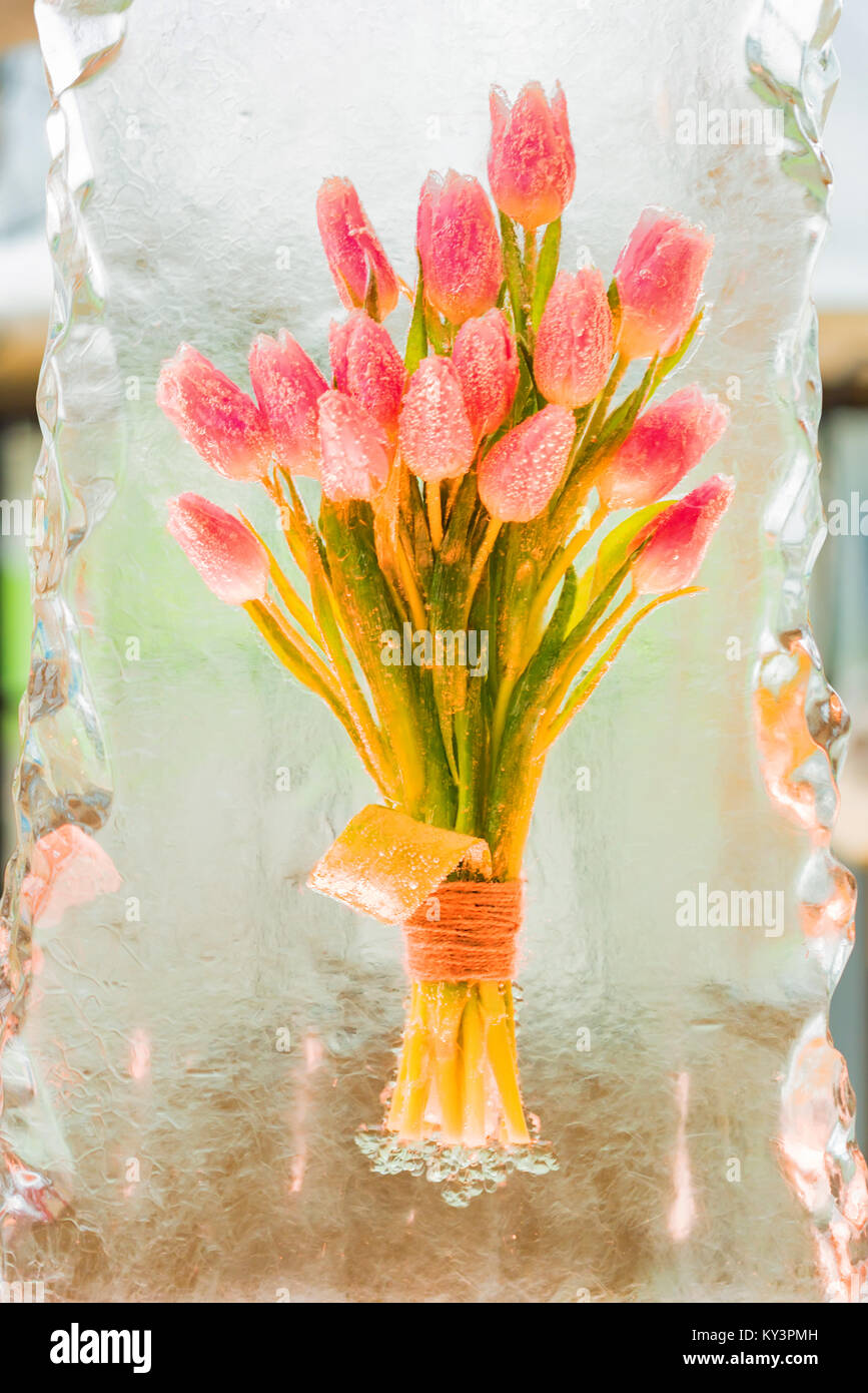 Decorative bunch of tulips in ice Stock Photo - Alamy