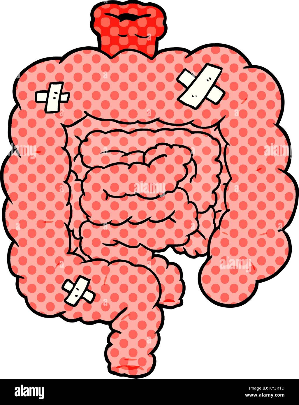 cartoon repaired intestines Stock Vector Image & Art - Alamy