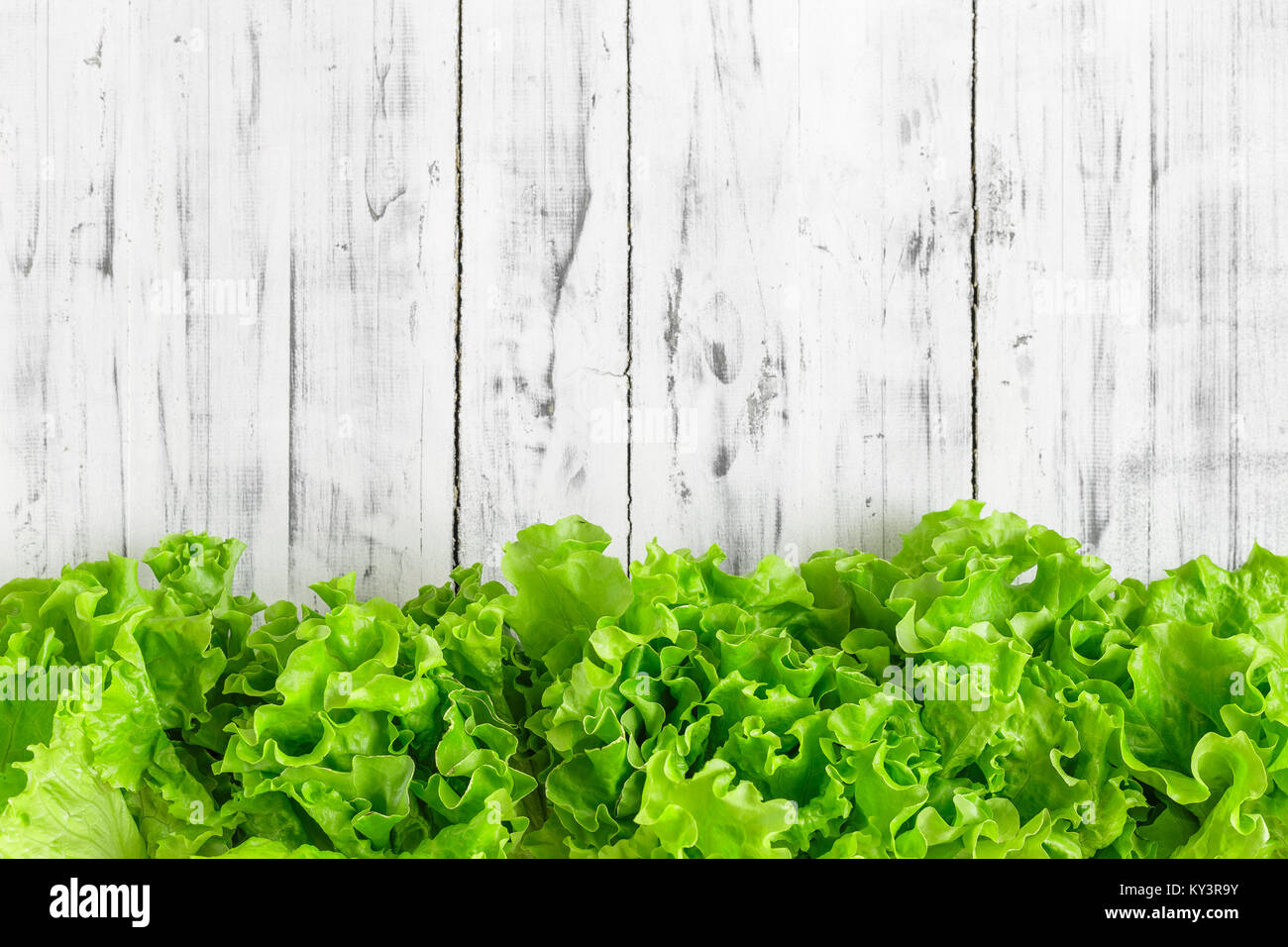 Fresh lettuce leaves border over white wooden plank background. Organic ...