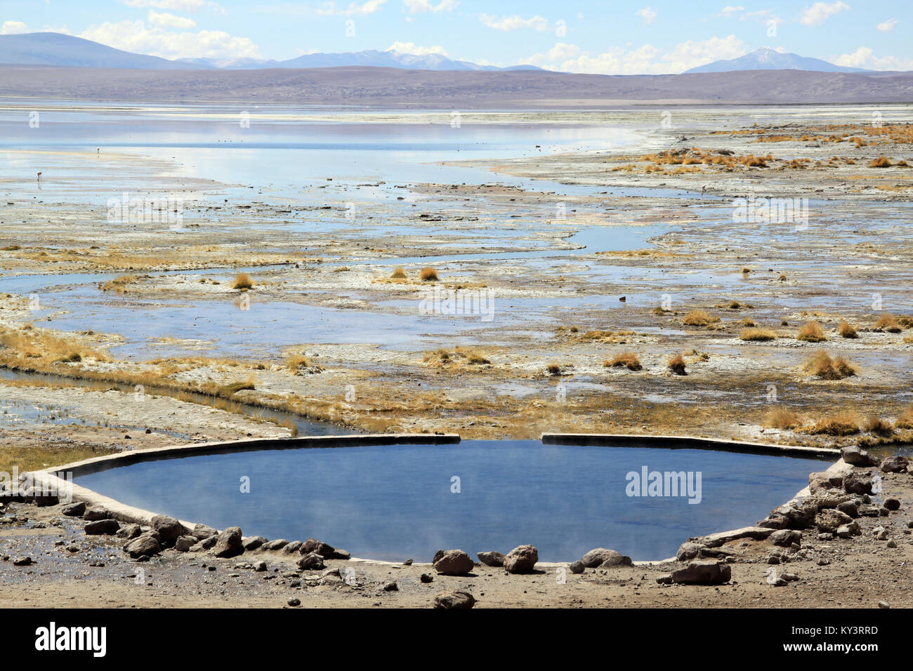 Water in pool and lake in Bolivia Stock Photo - Alamy
