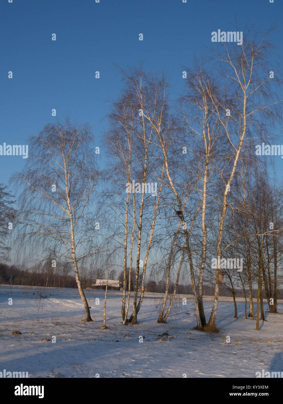 Roadside cross in snow landscape hi-res stock photography and images ...