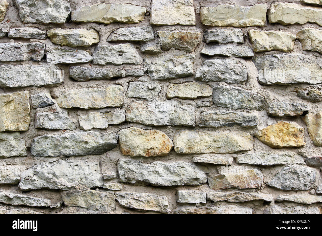 texture beige wall of historical stones calcareous tuff. Gatchina ...