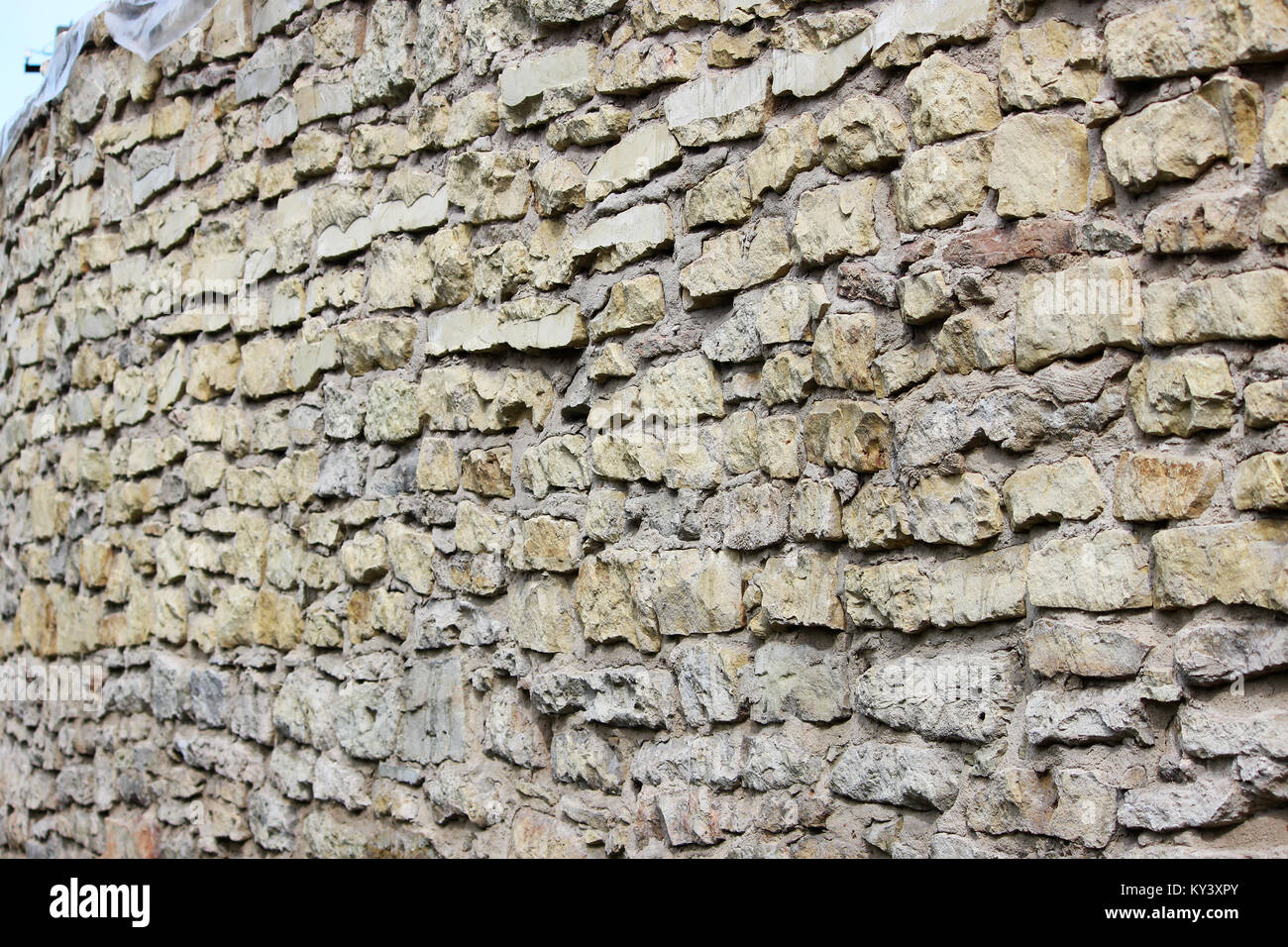 texture beige wall of historical stones calcareous tuff. Gatchina ...