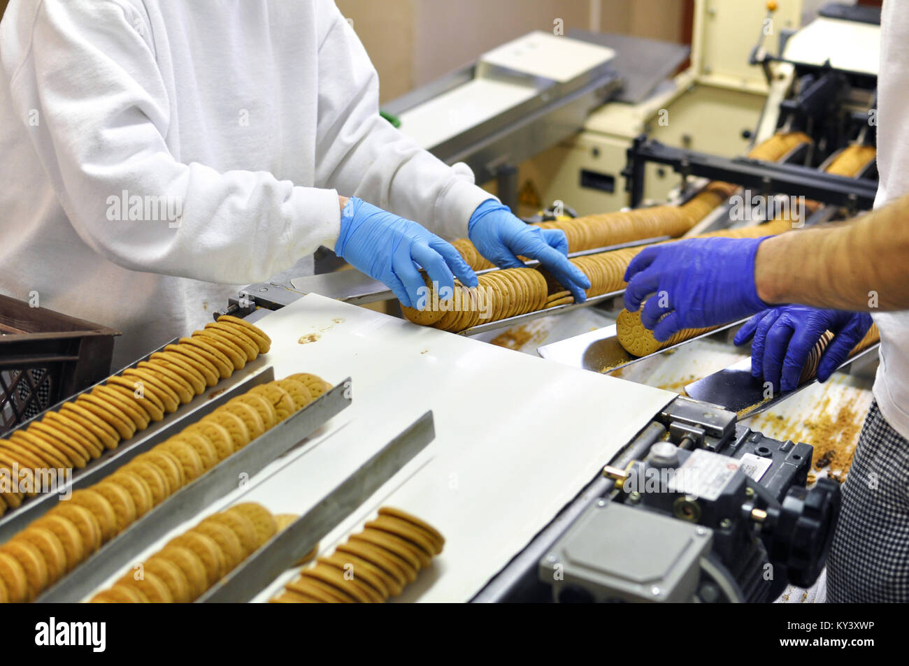 Conveyor Belt Factory Biscuits High Resolution Stock Photography and ...