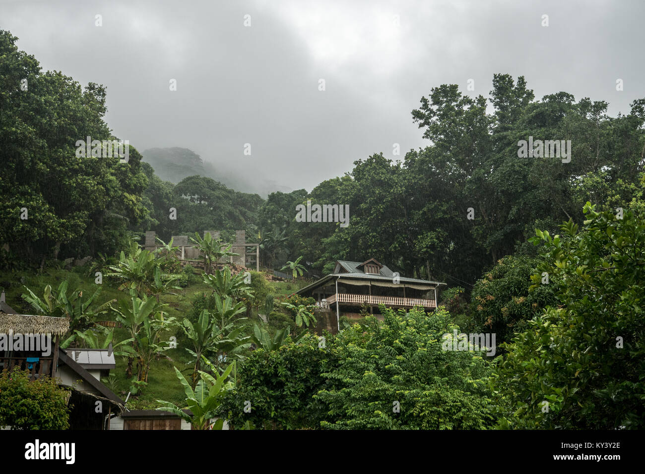 tropical storm in a village, rainy day landscape, La Digue, Seychelles ...