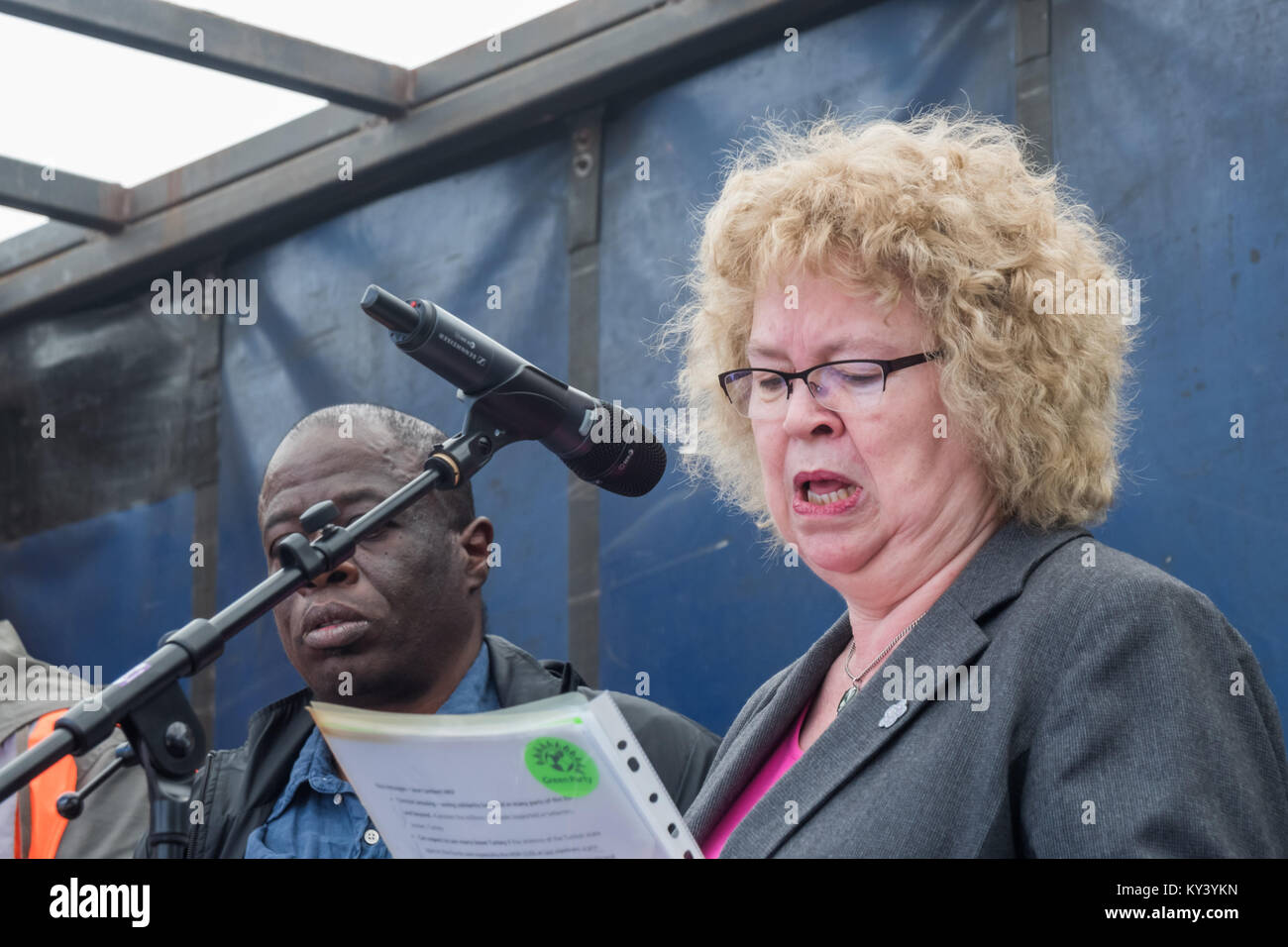 London Green MEP Jean Lambert speaks at the Park Lane rally before the ...