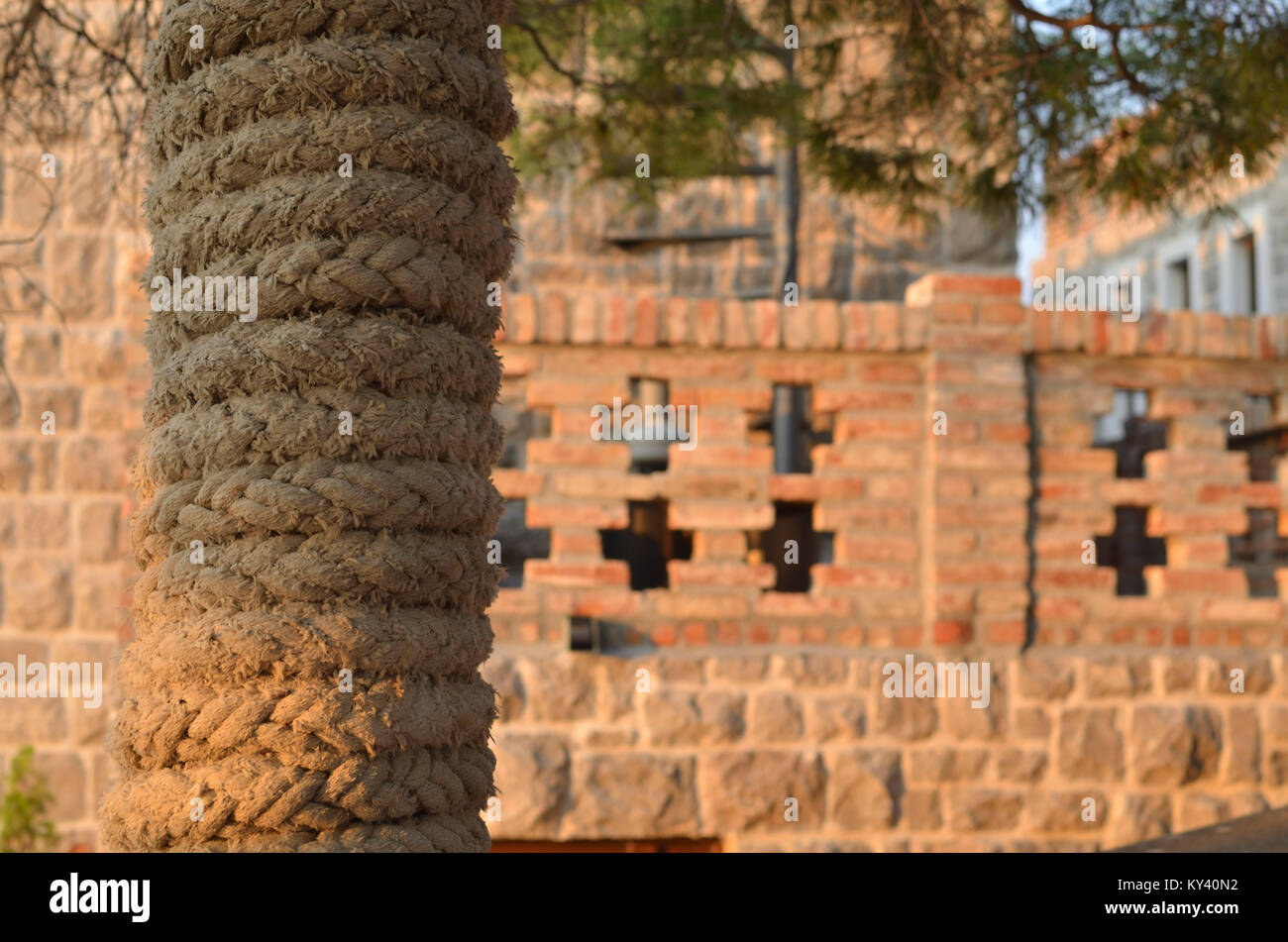 Palm tree trunk wrapped with a rope and a detail of a Venetian style ...