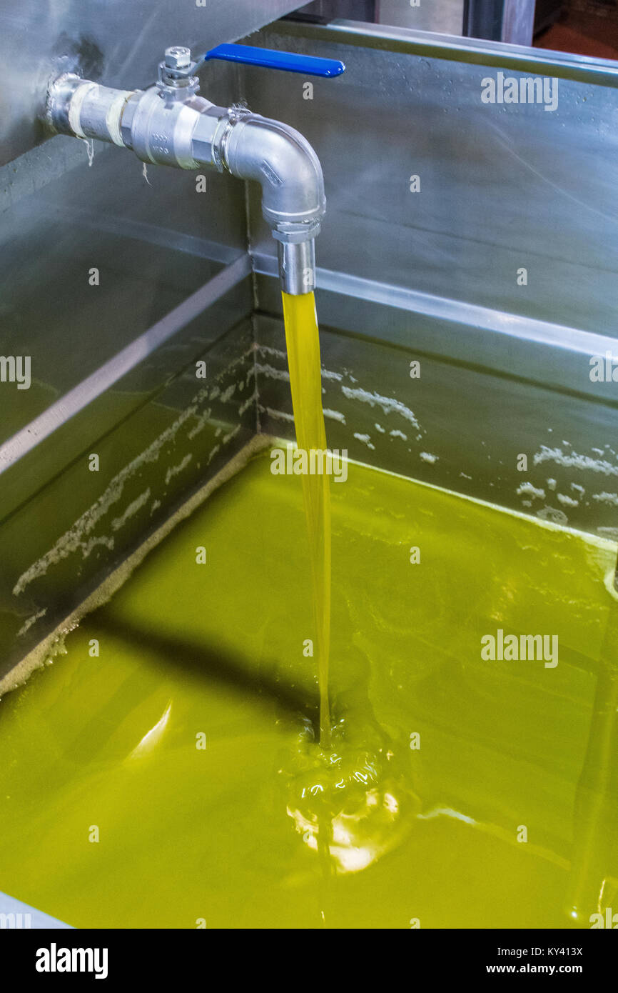 Olive oil extraction hi-res stock photography and images - Alamy