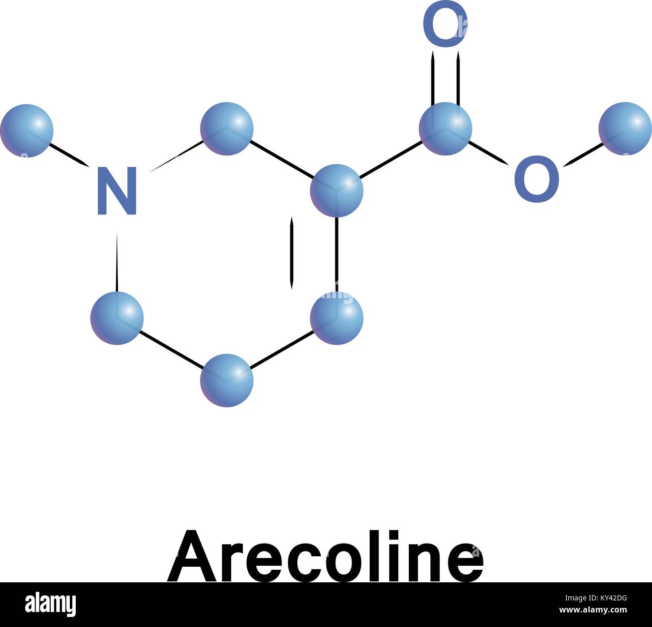 Arecoline High Resolution Stock Photography and Images - Alamy