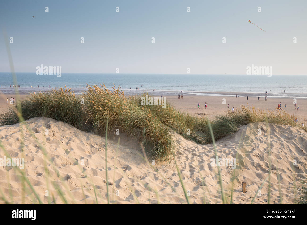 Camber Sands Beach, East Sussex, UK, on a summer afternoon Stock Photo ...