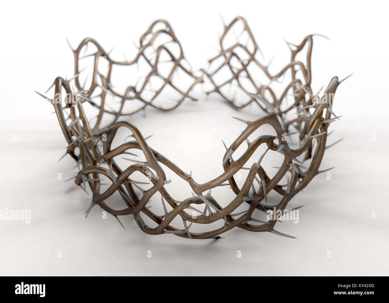 Thorn Branches Crown