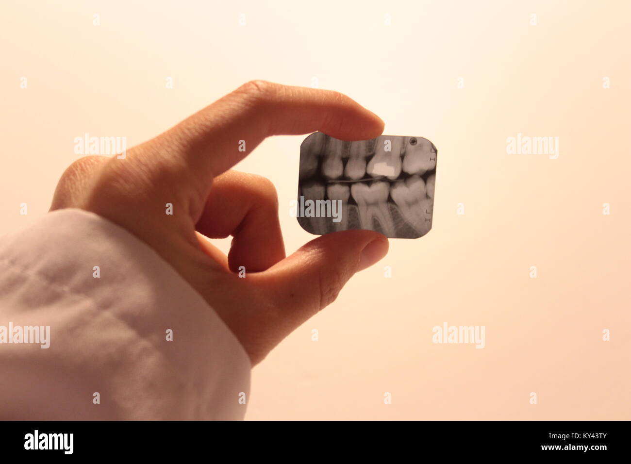 dentist radiography tooth healty Stock Photo - Alamy