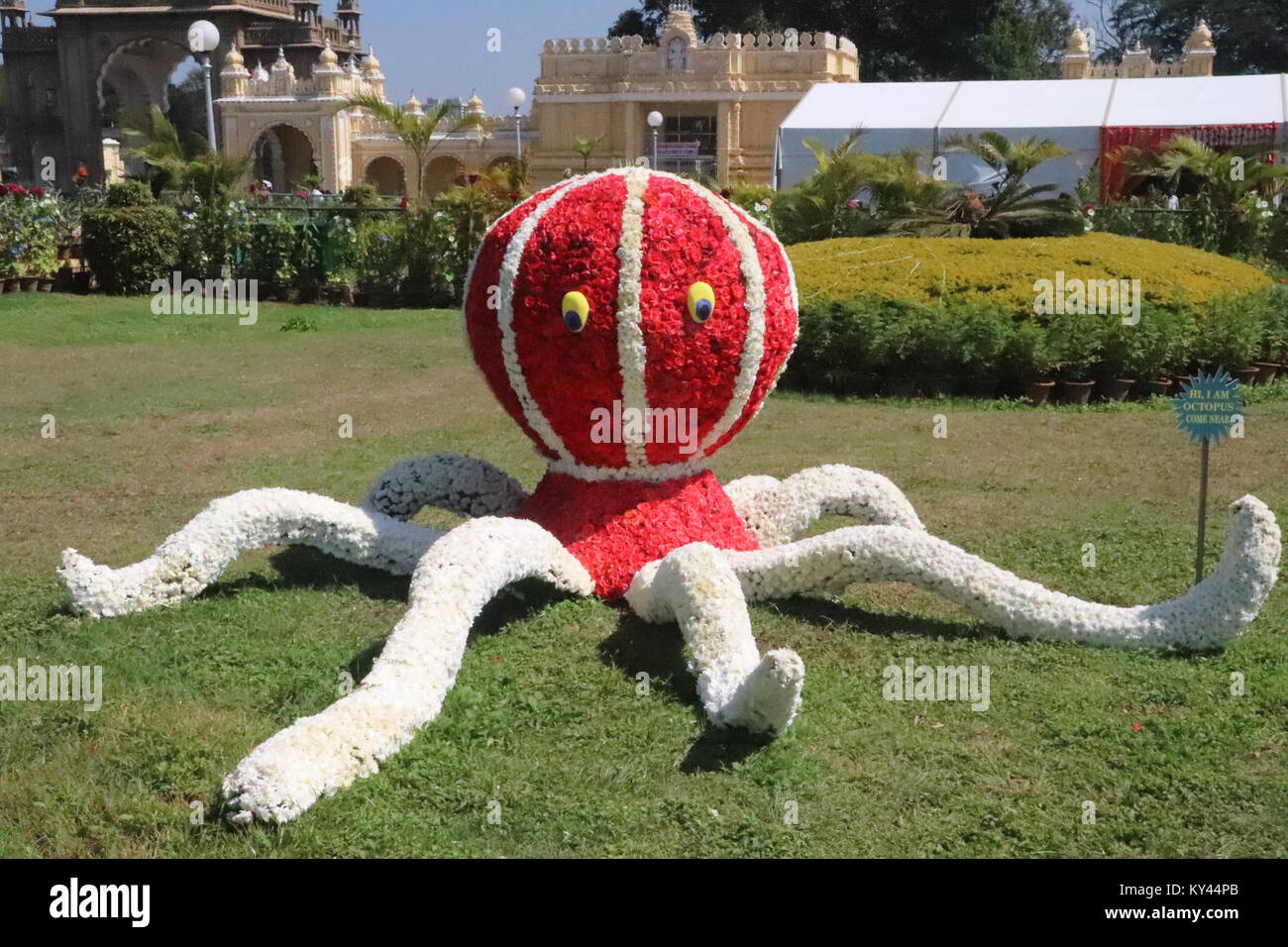 Mysore palace and flower garden hi-res stock photography and images - Alamy
