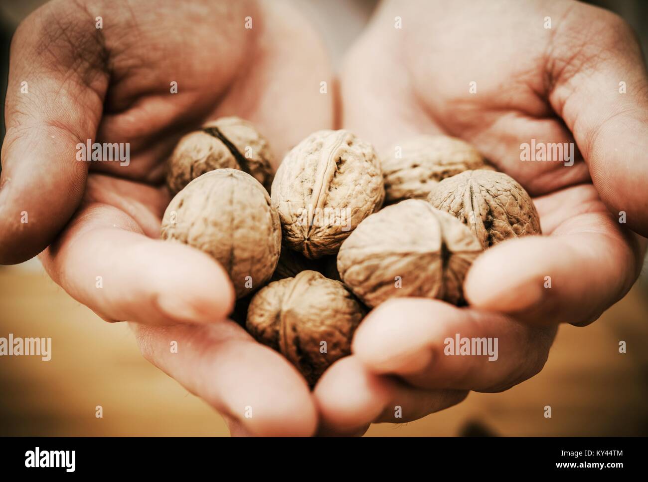 Walnuts in Chef Hands. Preparing Fresh and Nutty Desserts Stock Photo ...